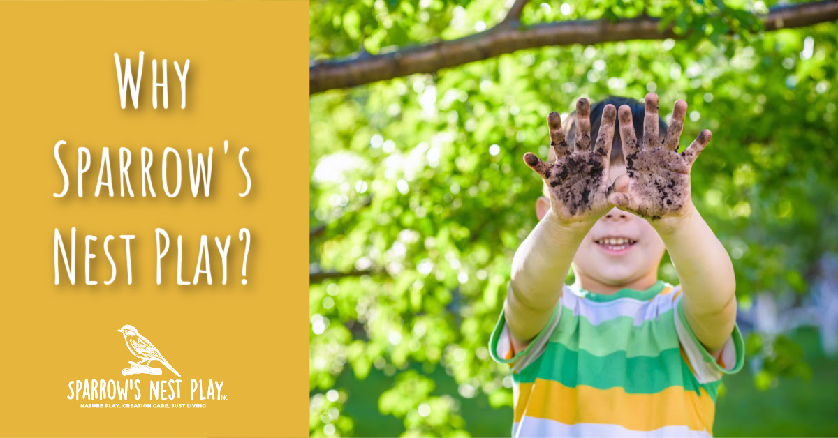 Why We Need Sparrow’s Nest Play – Sparrow's Nest Play, INC.