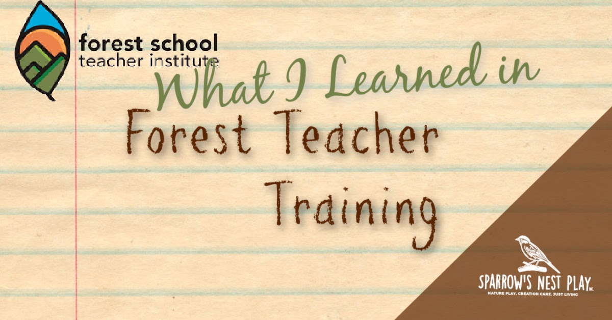 What I Learned in Forest Teacher Training – Sparrow's Nest Play, INC.